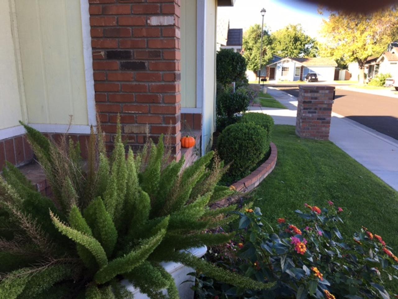 Room for rent by Lynda in Phoenix, AZ · Roommates.com