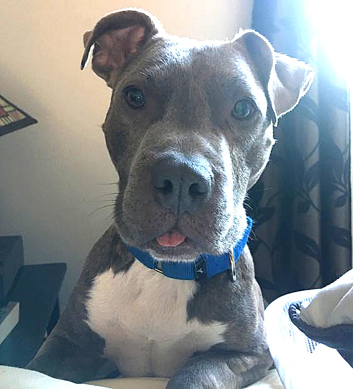 Jeff is looking for a room in Omaha, NE · Roommates.com