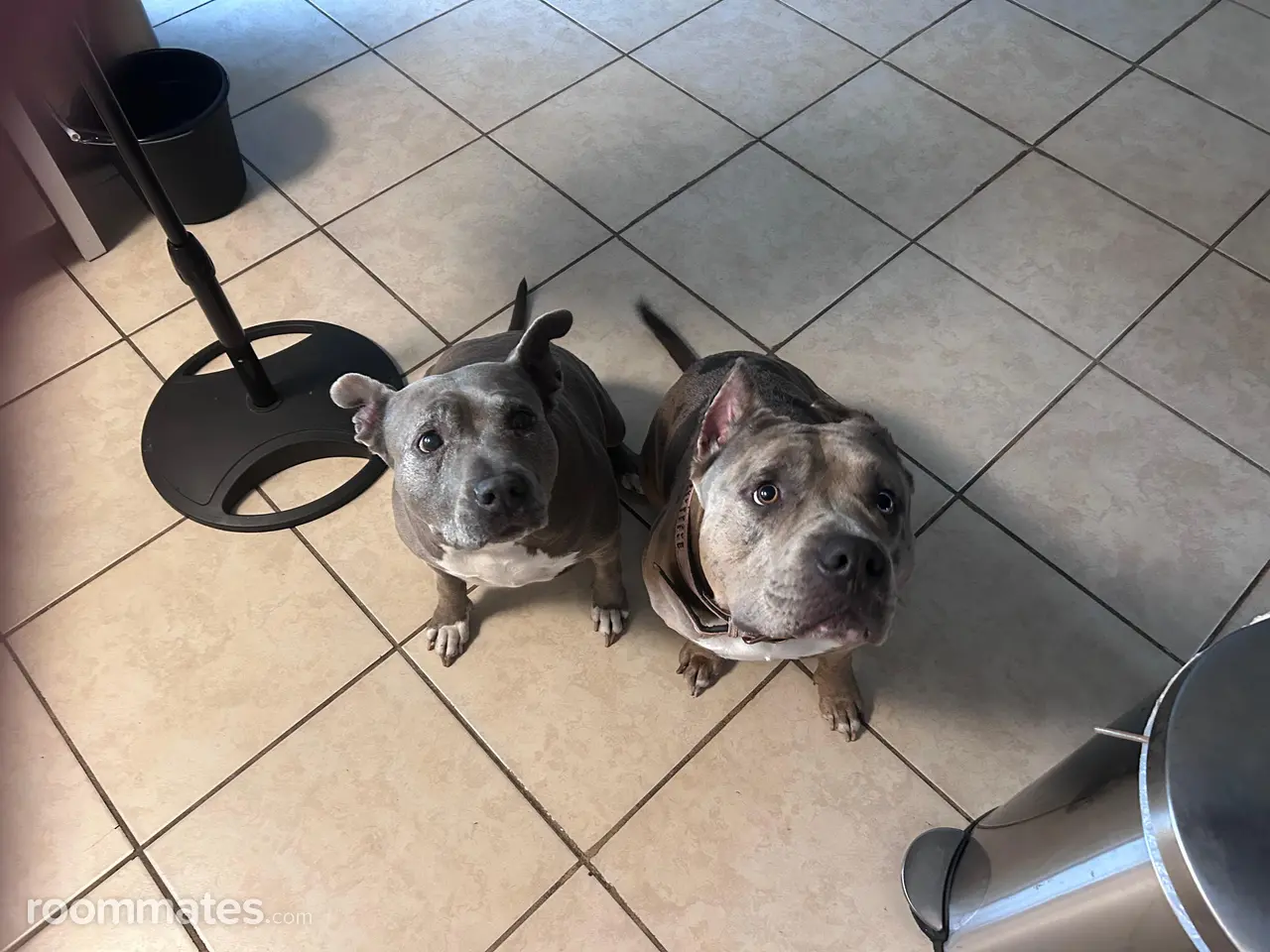 Room for rent by Rachel in Maitland, FL · Roommates.com