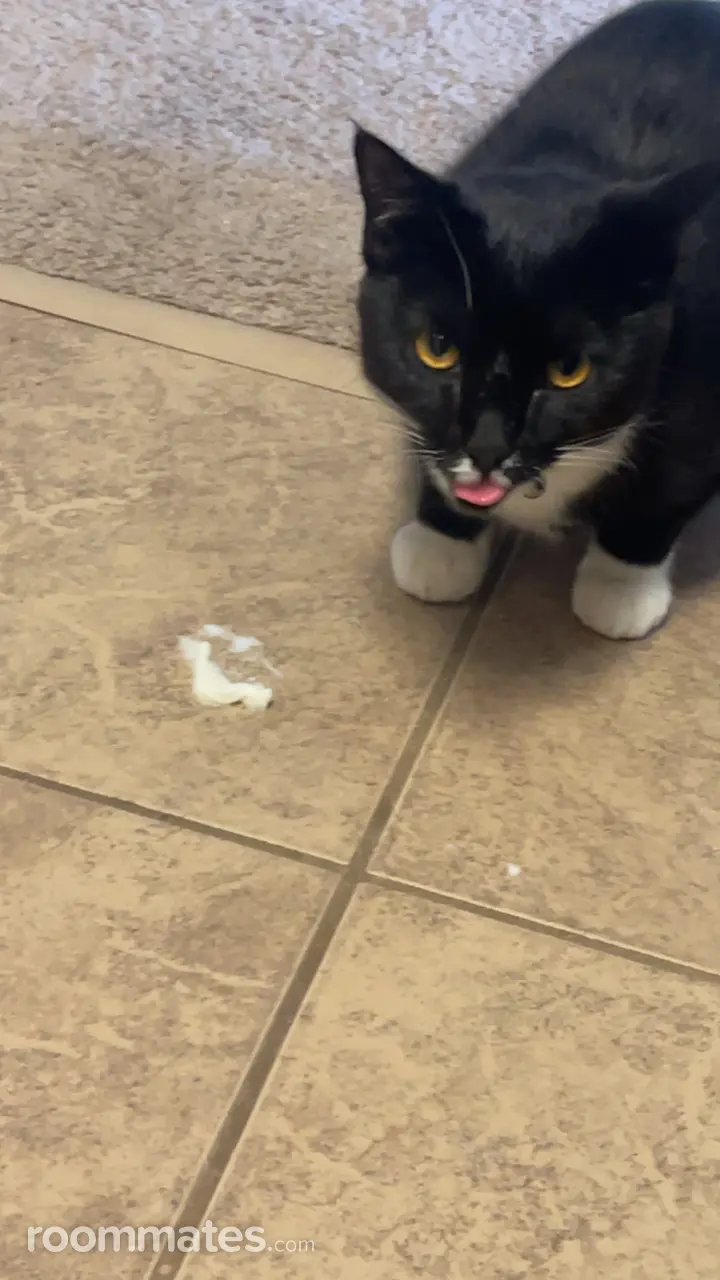 Jade is looking for a room in New York City, NY · Roommates.com