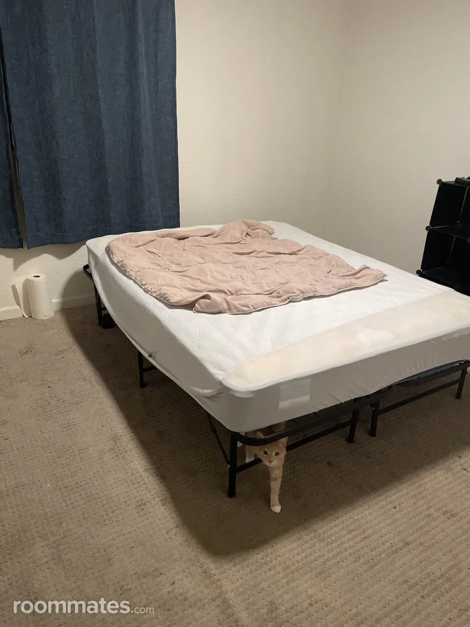 Room for rent by Tricia in Stockton, CA · Roommates.com